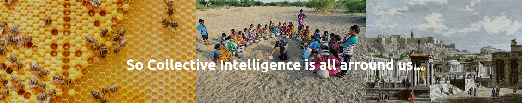 What is Collective Intelligence ? – UM6P School of Collective Intelligence