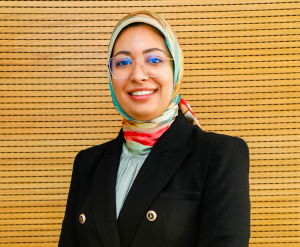 UM6P School of Collective Intelligence